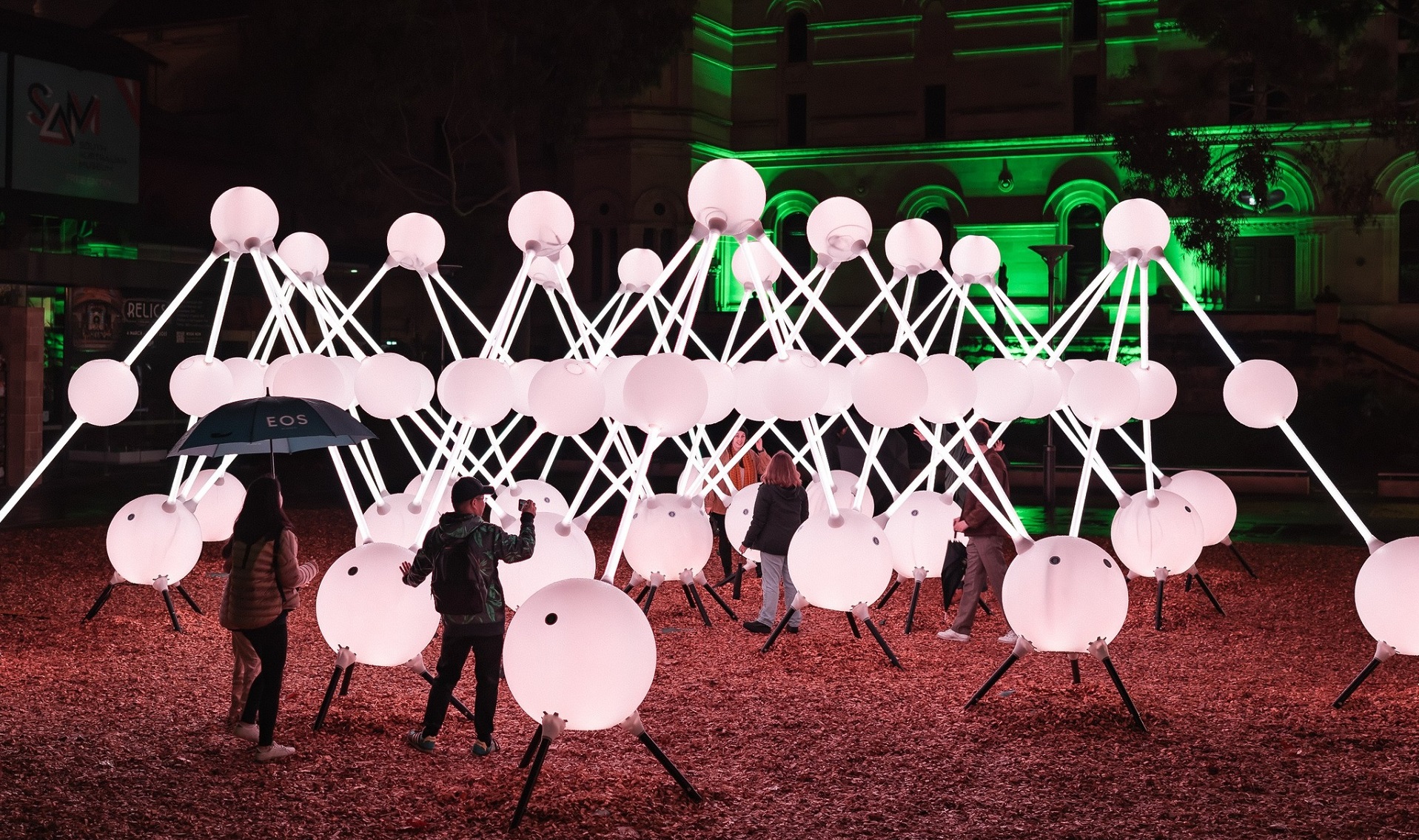 Spotlight on river recovery as Illuminate Adelaide shines on Murr...